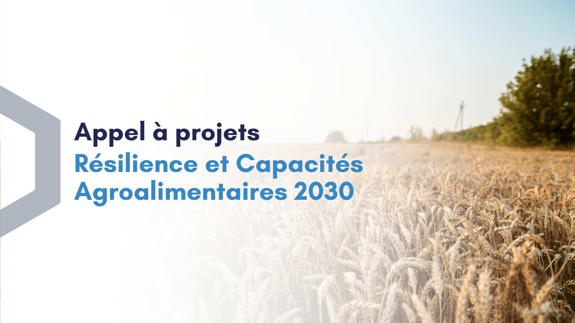 Relaunch of the PAA: Agri-Food Resilience and Capacities 2030