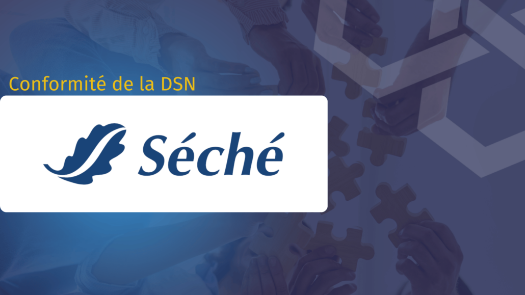 Infographie - Les différents blocs DSN